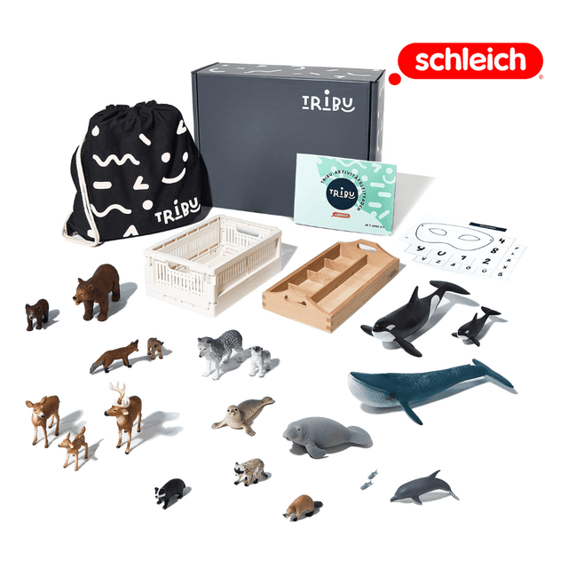 Tribu | Entdecke unsere Boxen