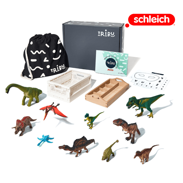 Tribu | Entdecke unsere Boxen